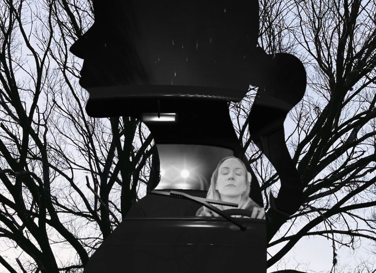 Integrating the Positive Shadow - Primal Fusion Health